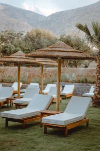Cook's Club Hersonissos Crete, Hersonissos (updated prices 2025)