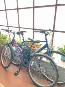 Bronallt, Barmouth (updated prices 2025)