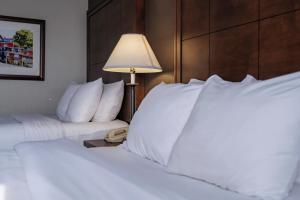 Comfort Inn - Gander, Gander (updated prices 2025)