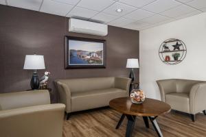 Comfort Inn - Gander, Gander (updated prices 2025)