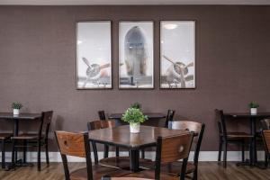 Comfort Inn - Gander, Gander (updated prices 2025)