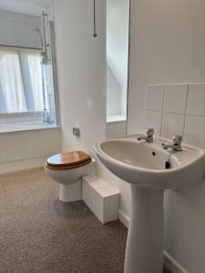 Potton Hall, Saxmundham (updated prices 2025)