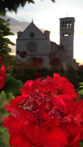 LE DIMORE ARCANGELO Giuseppe, Assisi (updated prices 2025)