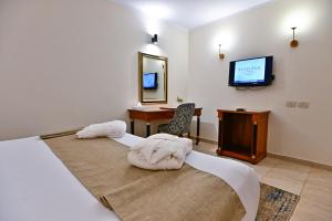 Swiss Inn Nile Hotel, Cairo (updated prices 2025)