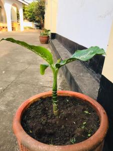 COZY NYUMBA, Arusha (updated prices 2025)