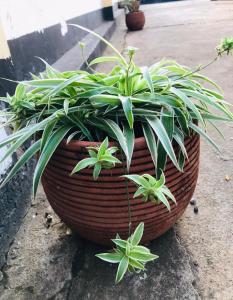 COZY NYUMBA, Arusha (updated prices 2025)