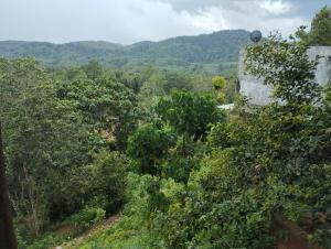 Bogala Village Eco Resort, Kegalle (updated prices 2025)