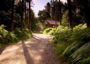 Glentress Forest Cabins - Forest Holidays, Peebles (updated prices 2025)