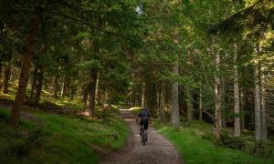 Glentress Forest Cabins - Forest Holidays, Peebles (updated prices 2025)