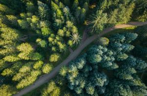 Glentress Forest Cabins - Forest Holidays, Peebles (updated prices 2025)