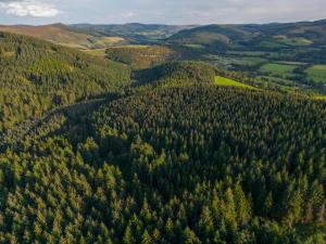 Glentress Forest Cabins - Forest Holidays, Peebles (updated prices 2025)