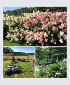 Egebjerggaard Bed & Breakfast, Sig (updated prices 2025)