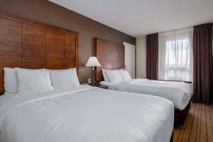 Comfort Inn - Gander, Gander (updated prices 2025)