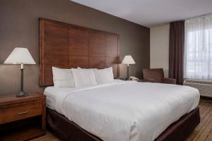 Comfort Inn - Gander, Gander (updated prices 2025)