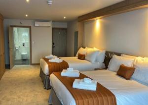 The Teifi Waterside Hotel, Cardigan (updated prices 2025)