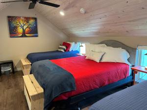 Treetop River Cabins on the Guadalupe River, Center Point (updated ...