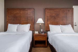 Comfort Inn - Gander, Gander (updated prices 2025)