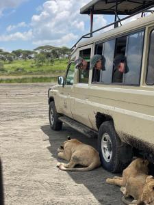 The New Njiro Legacy, Arusha (updated prices 2025)