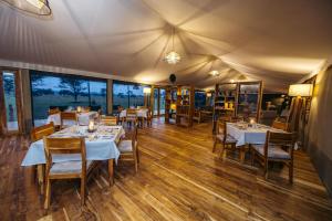 The African Kongoni Serengeti Camp, Nkunjila (updated prices 2025)