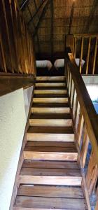 Elias Nefale Eco Estate, Mitxetweni (updated prices 2025)