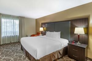 Comfort Inn, Burlington (updated prices 2025)