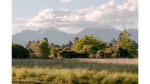 Harrington's on the Terrace - Murchison by Tiny Away, Te Anau (updated ...