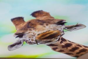 CM15 - Franzi's Dream-C15, Knysna (updated prices 2025)