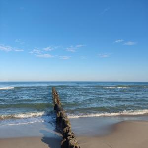 Preila 45, Neringa (updated prices 2025)