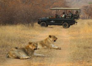 Royal Morubisi Founder's Lodge, Kaingo Private Game Reserve (updated prices 2025)