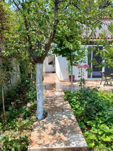 Saint Anna Country House., Agia Anna (updated prices 2026)