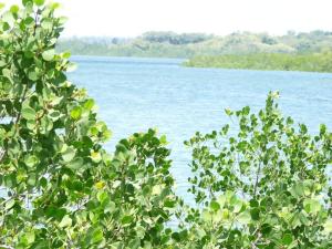 Pemba Misali Sunset Beach, Wesha – Updated 2023 Prices