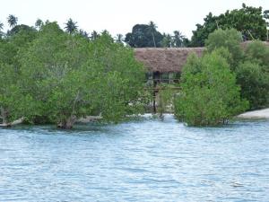 Pemba Misali Sunset Beach, Wesha (updated prices 2025)