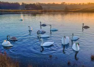 Witton Castle Country Park, Bishop Auckland (updated prices 2025)