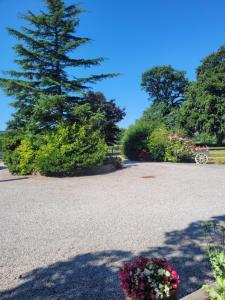 Ty Derw Country House B&B, Ruthin (updated prices 2025)