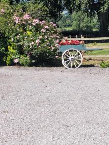 Ty Derw Country House B&B, Ruthin (updated prices 2025)