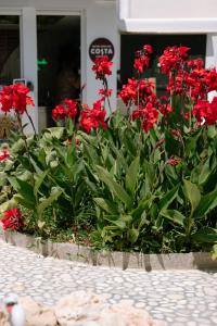 Eleni Rooms, Parikia (updated prices 2025)