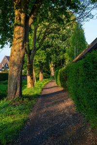 Luxury 2-Bedroom Beachfront Apartment - Altara Suites, Дананг (оновлені ...