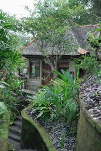 Ibah, Ubud (updated prices 2025)