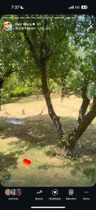 Kaj Nana i Dedo, Skopje (updated prices 2025)