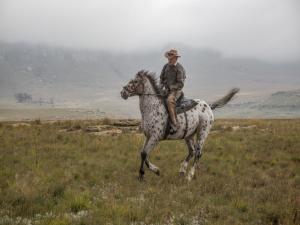 Wild Horses Lodge, Harrismith – Updated 2023 Prices