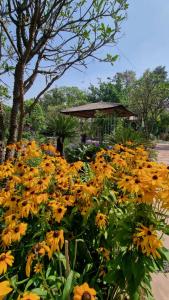 Botanix Nature Resort, Gurgaon (updated prices 2026)