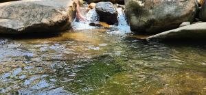 Cozy Cabin W/Hot Tub on Pigeon Forge Gatlinburg TN, Sevierville (2025 ...