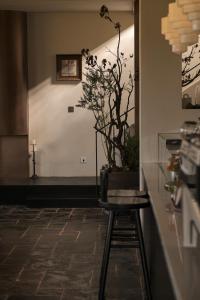 Shaxi Village Bianhe Villa Pastoral Resort, Niujie (posodobljene cene ...