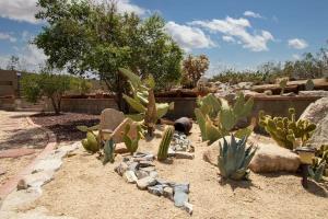 Marbella Lane - The Wine Mine Desert Escape, Joshua Tree (preços ...