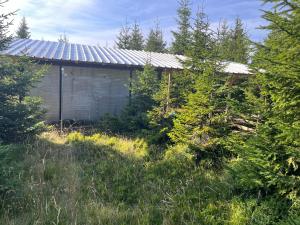 Adriana Phoenix's Bird, Horezu (nove cijene za 2026.)