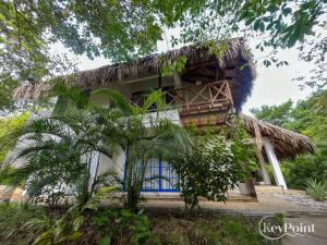 New KeyPoint Retirö Natural Palomino!, Palomino (ažurirane cene za 2026 ...