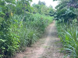 Hostel Guacimo Workaway and Workpackers, Guácimo (precios actualizados ...