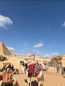 Bastet Pyramids inn, El Caire (preus actualitzats el 2026)