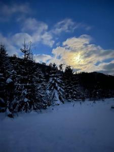 Agroturystyka Monte Luna - Domki, Czarnów (aktualizované ceny na rok 2026)