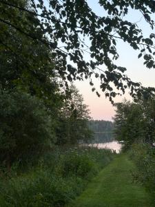 Alexandra Forest Lake House, Konsu (bijgewerkte prijzen 2026)